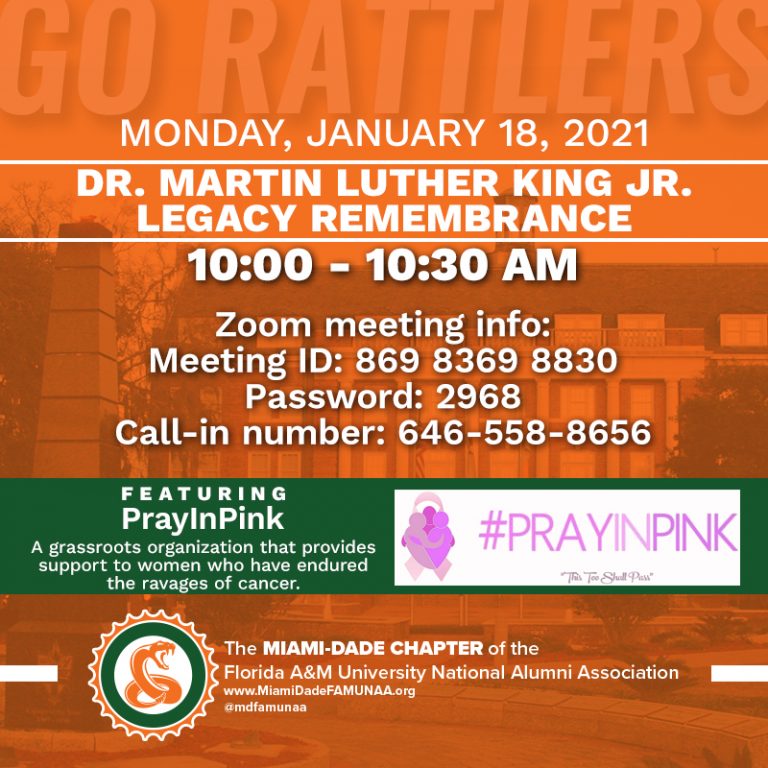 Home - FAMU NAA Miami-Dade Chapter